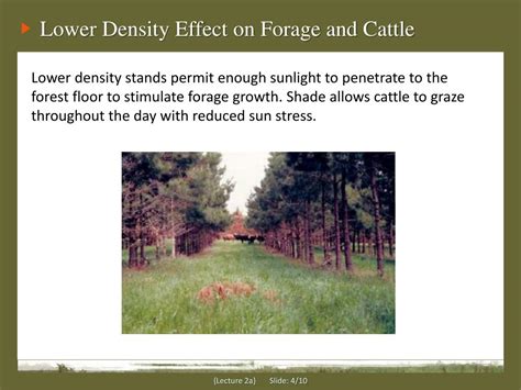 PPT Module Tree Spacing And Row Arrangement PowerPoint Presentation ID