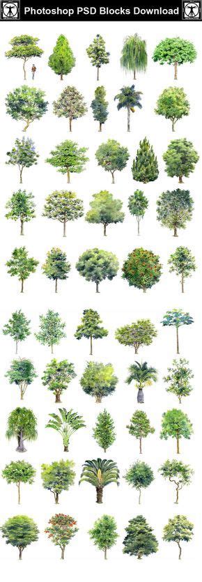 Hand Painted PSD Tree Blocks Landscape Architecture Graphics