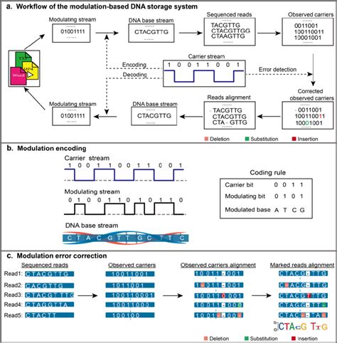 Overview Of The Modulation Based DNA Storage Workflow A Workflow Of Download Scientific