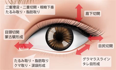目｜【公式】アテナクリニック東京銀座の美容整形外科