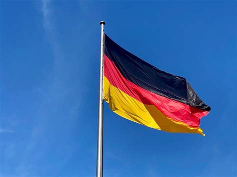 New Carbon Data Open Protocol Aims To Help Scale Carbon Markets