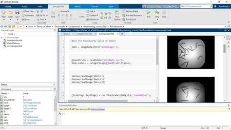 Adedimeji Taiwo Gmnse On Linkedin Deeplearning Training Project