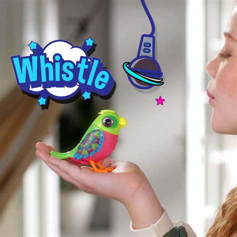 Digibirds — Learning Express Ts