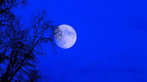 무료 이미지 자연 하늘 밤 푸른 보름달 월광 완전한 장엄한 초우량 초승달 천체 지구의 분위기 3614x2032 1284546 무료 이미지