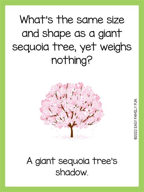 Best Tree Riddles With Answers