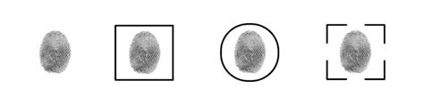 Premium Vector Set Of Fingerprints The Concept Of Identification Authorization Or Privacy