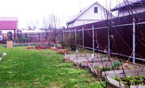 Син з невісткою куnили будинок по сусідству і я вже намалювала в моїй голові як добре буде нам