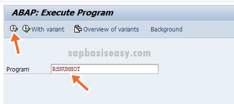 How To Know Which SAP Number Ranges Will Be Run Out SAP Basis Easy