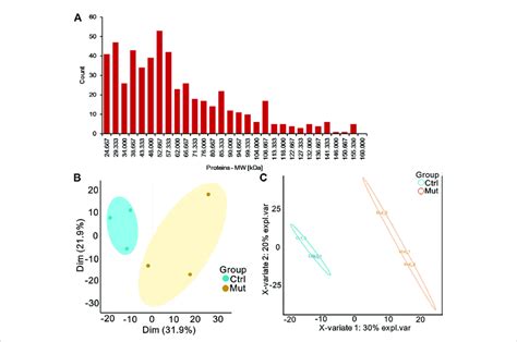 Quantitative Proteomic Profiling Of Serum Of Patients With Mma By Itraq