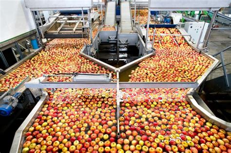 How To Automate Counting Parts And Products Using High Speed Counting Machines Sciotex