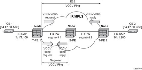Vccv Ping In A Multi Segment Pseudowire