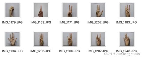 毕业设计之 题目：基于深度学习的手势识别实现 Csdn博客