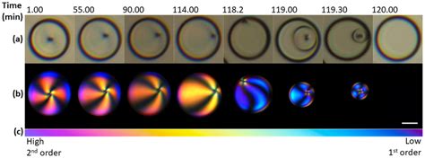 Birefringence Measurements Evolution Of 5cb Droplets Under A Download Scientific Diagram