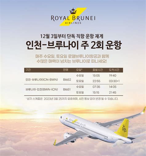 항공사소식 주요항공사정보