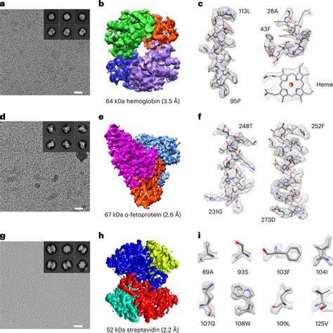 High Resolution Structural Determination Of Small Macromolecules By Download Scientific Diagram