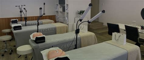 Brow Certificate Course Ceecees