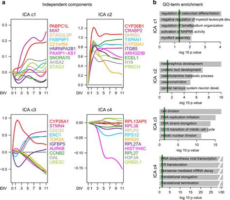 Parallel Independent Component Analysis Pica Of Gene Expression A Download Scientific