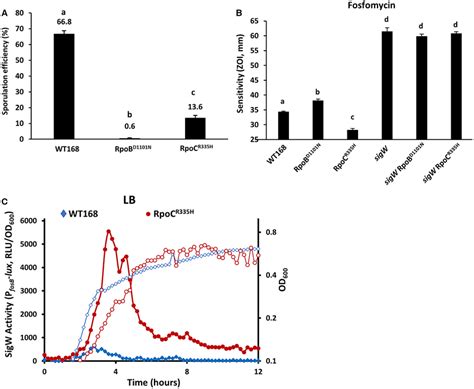 Single Amino Acid Substitutions In Rnap Differentially Affect Sigma Download Scientific Diagram