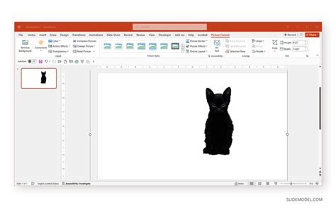 18 Background Removed In Powerpoint SlideModel