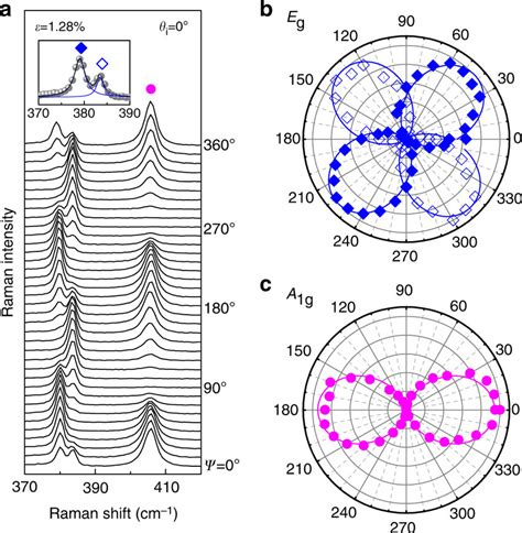The Polarization Properties Of The Reflection Spectra Of 41 Off