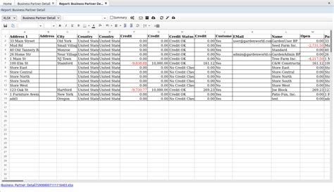 NF9 Excel File Preview IDempiere En