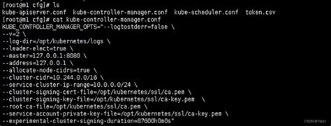 kubernetes（2）k8s环境搭建：kubeadm安装、二进制方式安装 二进制安装kubeadm、kubelet和kubectl csdn博客