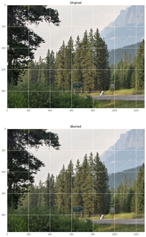 Keras Experiment Blur Image Nikolai Kummer