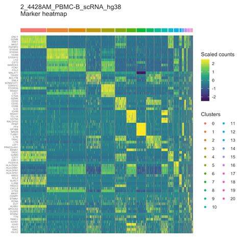Single Cell And Single Nucleus Rna Seq Scrna Seqsnrna Seq Service