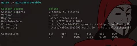 What Is Port Forwarding Use Of Ngrok Access Localhost Website From Outside Network Hacking