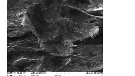 30° Particle Impingement Angle 23 Ms 1 Particle Impact Velocity 60° Download Scientific