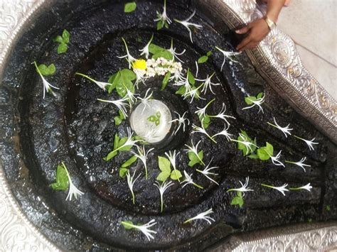 Trimbakeshwar Jyotirling Mandir त्र्यंबकेश्वरला घडला चमत्कार