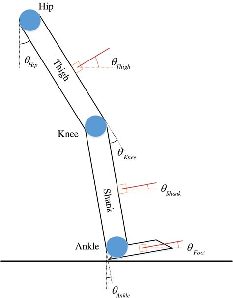 A Se Densenet Lstm Model For Locomotion Mode Recognition In Lower Limb Exoskeleton [peerj]