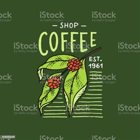 커피의 집합입니다 가 게 메뉴에 대 한 현대 빈티지 요소입니다 벡터 일러스트입니다 기장에 대 한 디자인 장식 컬렉션입니다 프레임 라벨에 대 한 서 예 스타일입니다 오래 된