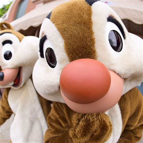 Pin By Stephy Ngan On Wallpaper Cute Disney Pictures Disney Friends Disney Phone Wallpaper