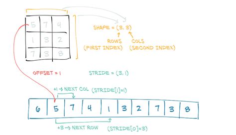Basic Pytorch Tensor