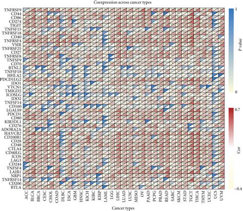 correlation between mmp 9 gene expression and tmb and msi and