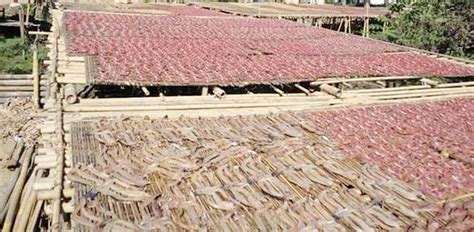 ဧရာဝတီတိုင်းဒေသကြီးမှ ထွက်ရှိသော ငါးရံ့ခြောက်များ ပြည်ပဈေးကွက်သို့ ပြန်လည် တင်ပို့နေရသဖြင့် အဝယ