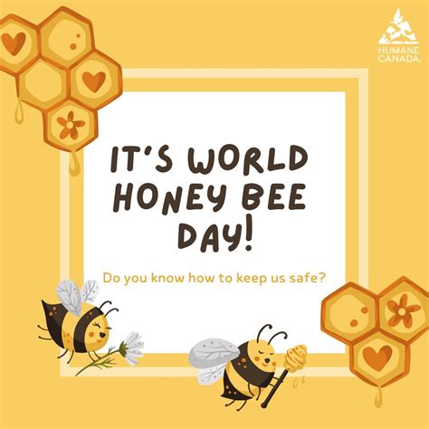 Manmeet Manace Posted On Linkedin