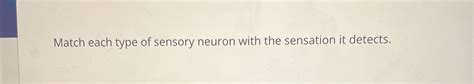 Solved Match Each Type Of Sensory Neuron With The Sensation Chegg Com