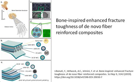 Engineering At Alberta Courses Viscoelastic Properties And Nonlinear Behaviour