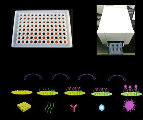 Nanoplasmonic Sensor Chip In Microwell Plate For Detecting Sars Cov 2 Download Scientific