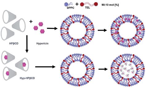 Scheme 1 Preparation Of An Inclusion Complex Hyp Hpbcd Consisting Of