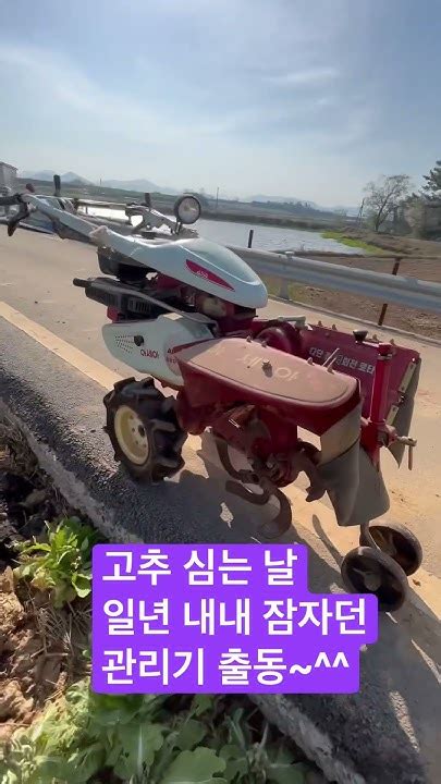 고추 심어요~ 근데 바람이 엄청 불어요~ 힘들겠네요~ Youtube