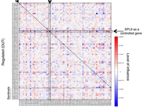 Classification Of Patterns Of Eeg Synchronization For Seizure