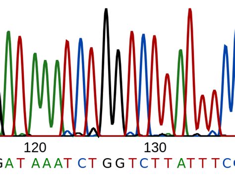 How Does Dna Sequencing Work Pediaa Com