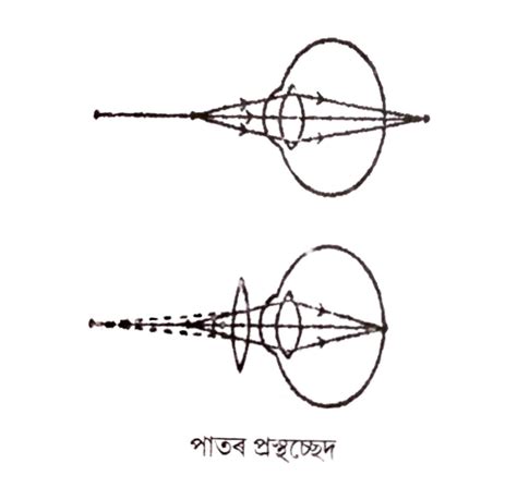 Hslc 2020 Science Question Paper Solved Dev Library