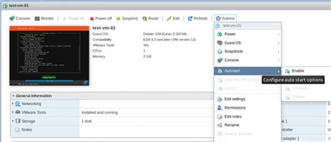 VMware ESXi Set Virtual Machine To Start On Boot ServerOK