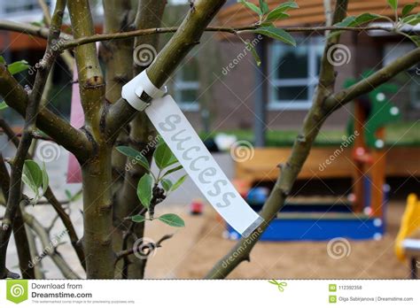 A Photo Of A Tree Growing In A Nursery Rare Plants A Ribbon For An Inscription A Tag Stock