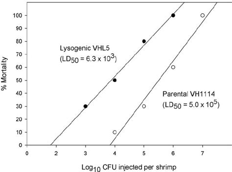 Graph Showing Regression Lines For Shrimp Mortality Versus Log Cfu For