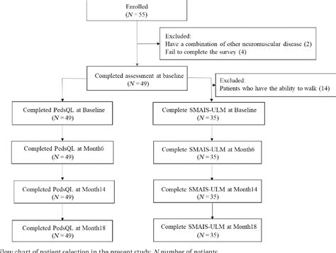 Figure 1 From Longitudinal Efficacy Of Nusinersen Treatment On Health